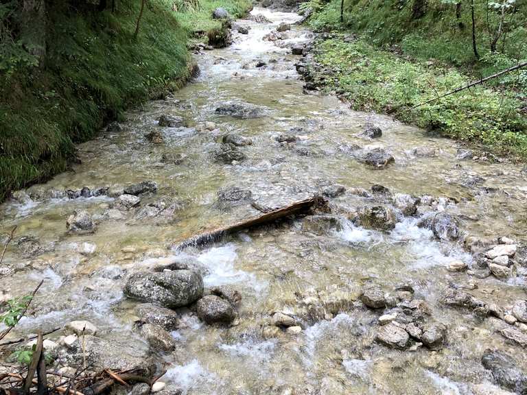 Grüne Gumpe Routes for Walking and Hiking | Komoot