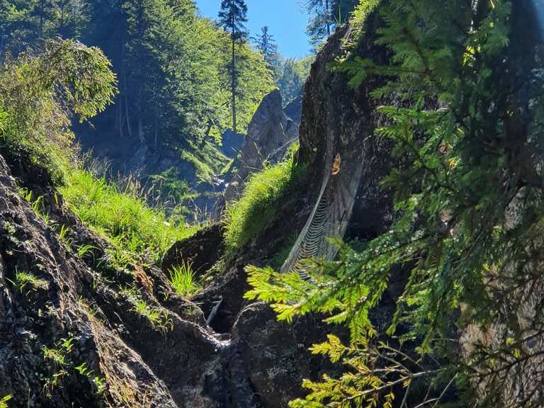 Bettlersteig wandelroutes en hikes | Komoot