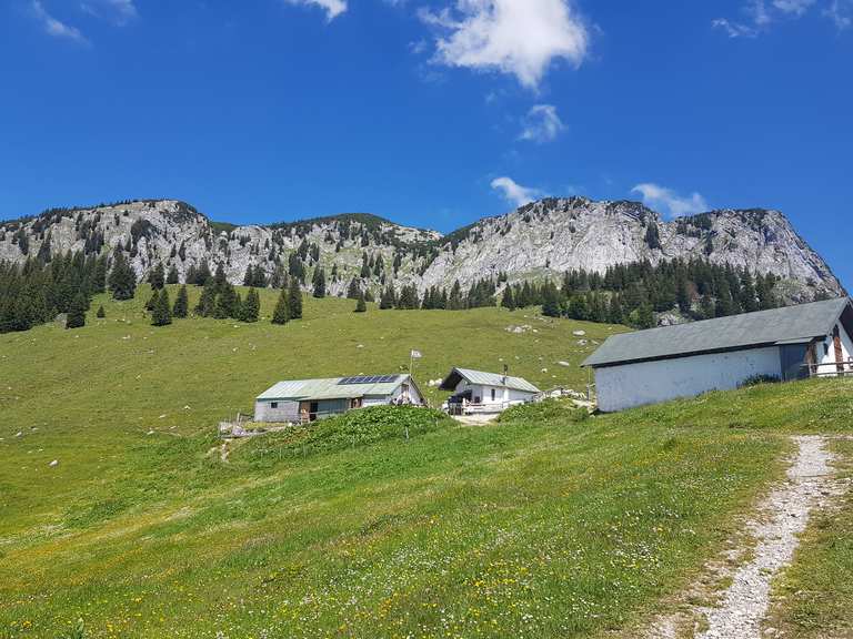 Bichler Alm: Wanderungen und Rundwege | komoot