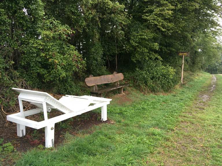 Widok na Meißner i Szwajcarię Heskońską z P13 Boyneburg – trasy piesze ...