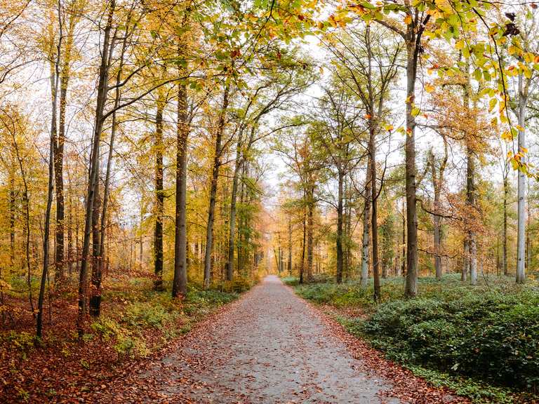 L'Atomium – Chemin forêt de Soignes Rondje vanuit Uccle-Calevoet - Ukkel-Kalevoet | fietstocht ...