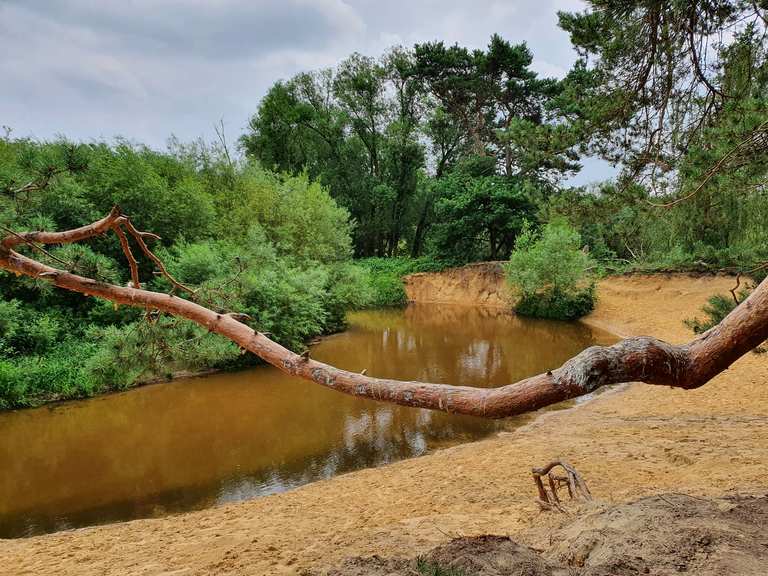 Lutterzand: Wanderungen und Rundwege | komoot
