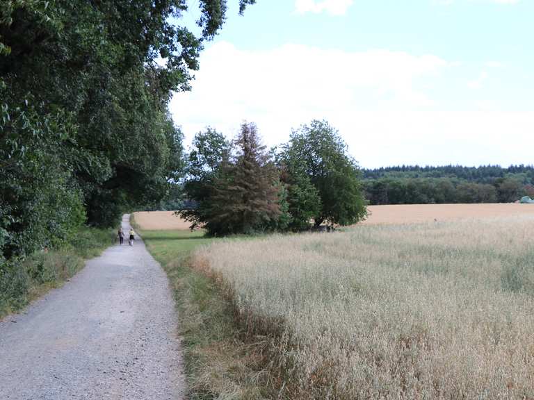Lorsbach: Sonnenweg Routes for Walking and Hiking | Komoot