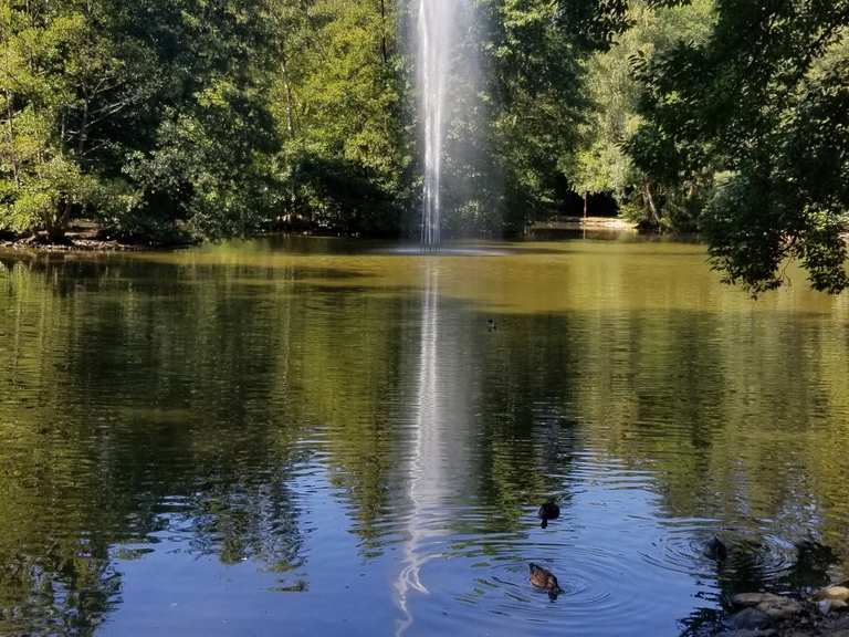 Schlosspark Dierdorf: Mountainbike-Touren und -Trails | komoot