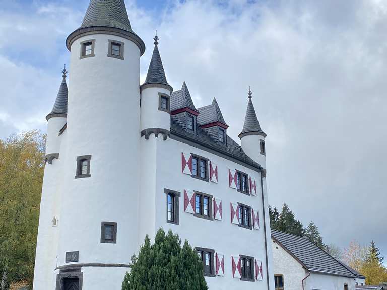 Burg Dreis in Dreis-Brück Routes for Walking and Hiking | Komoot