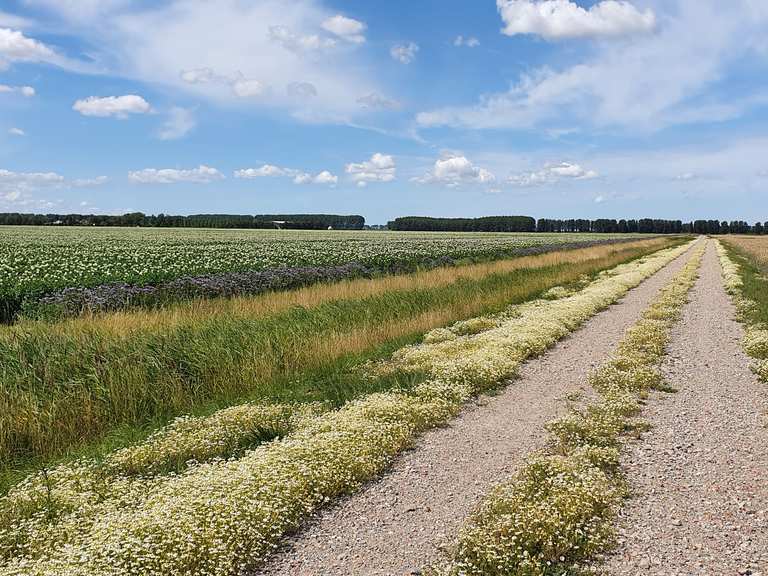 Unpaved Road Between Meadows – Cycling Routes & How to Get There | Komoot