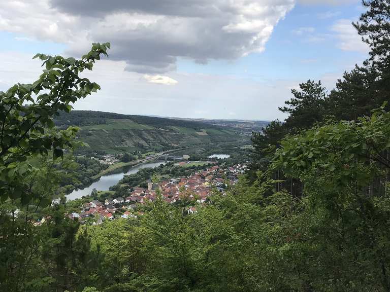 Toller Ausblick auf Erlabrunn - Mountain Bike Trails & Tracks | Komoot