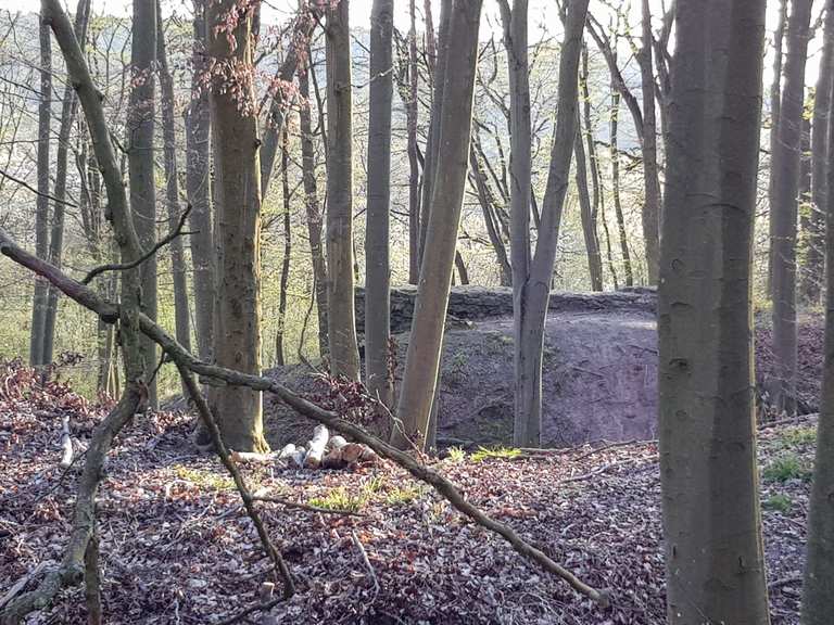 Burgruine Schauerberg: Mountainbike-Touren und -Trails | komoot