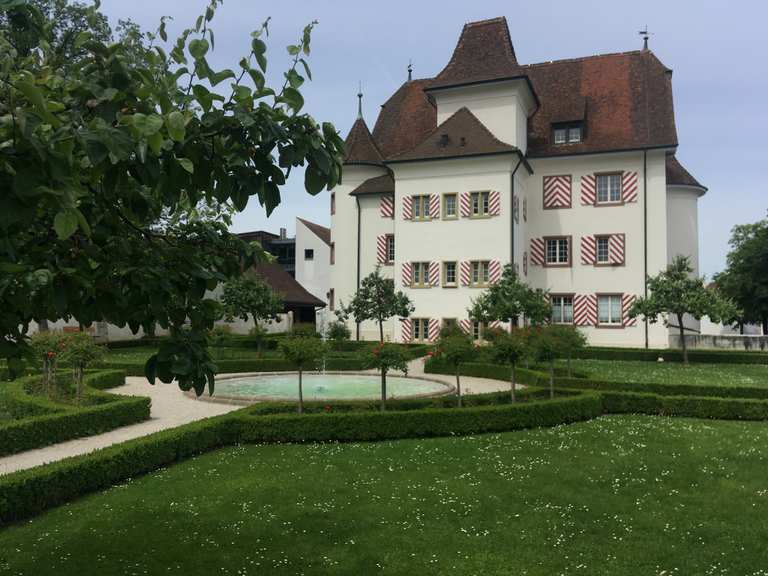 Schloss Aesch: Wanderungen und Rundwege | komoot
