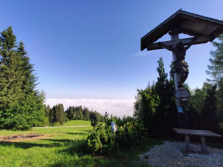 Hongar: Mountainbike-Touren und -Trails | komoot