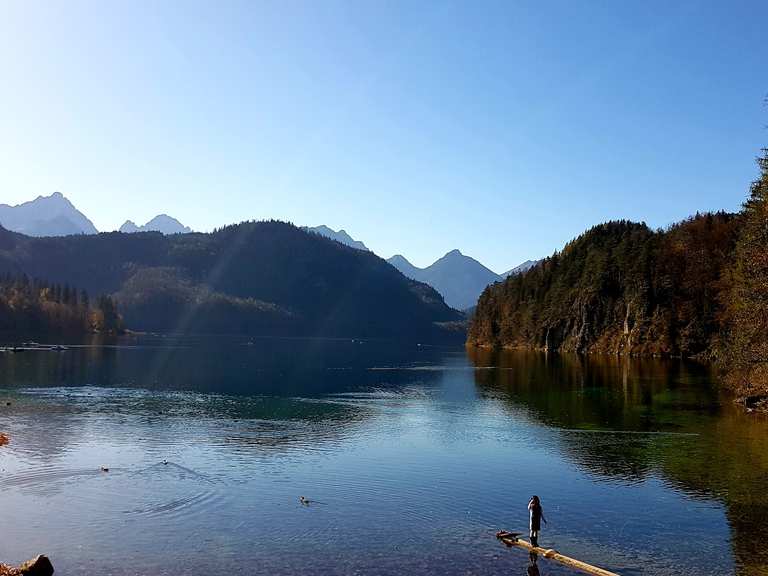 Alpsee: Mountainbike-Touren und -Trails | komoot