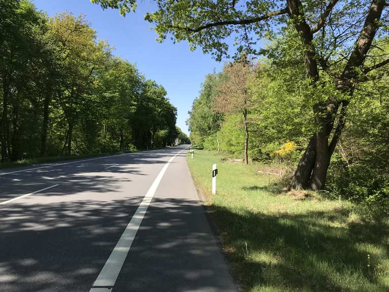 Bundesstraße durch den Wald mit breitem Mehrzweckstreifen – Radrouten ...
