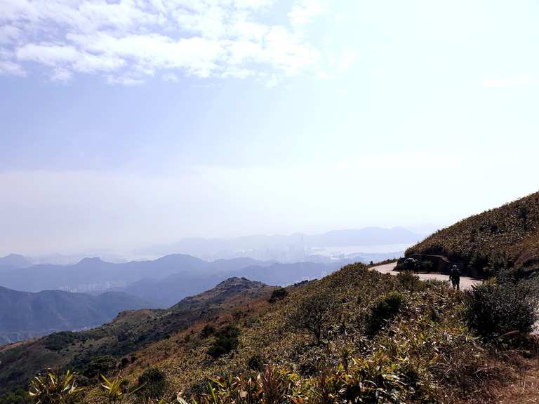 Tai Mo Shan Summit Road Climb - Road Cycle Routes and Map | Komoot