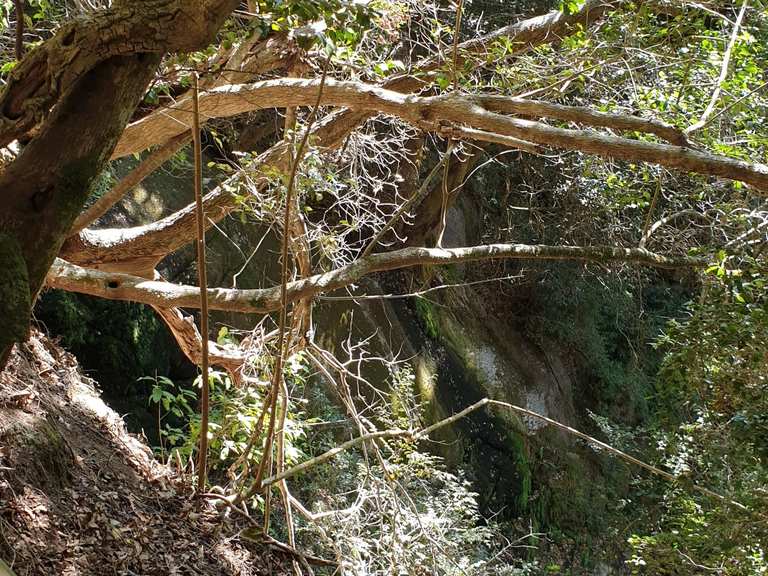 Skeleton Gorge - Routes for Walking and Hiking | Komoot