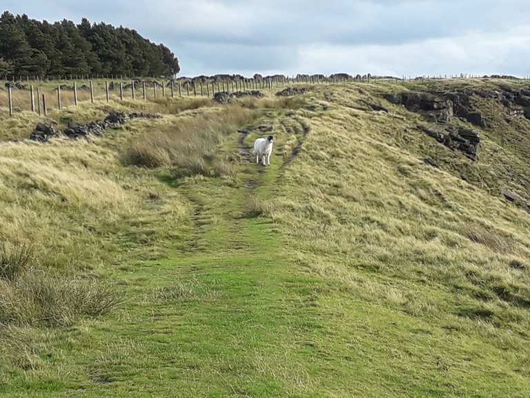 Cown Edge Ridge Routes for Walking and Hiking | Komoot