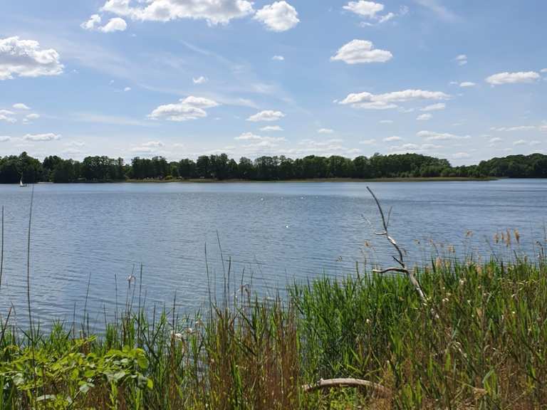 Steg mit Aussicht auf den Großen Seddiner See: Wanderungen und Rundwege ...