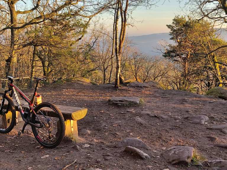 Heidenfels Trail (Roter Punkt) Mountain Bike Trails & Tracks | Komoot