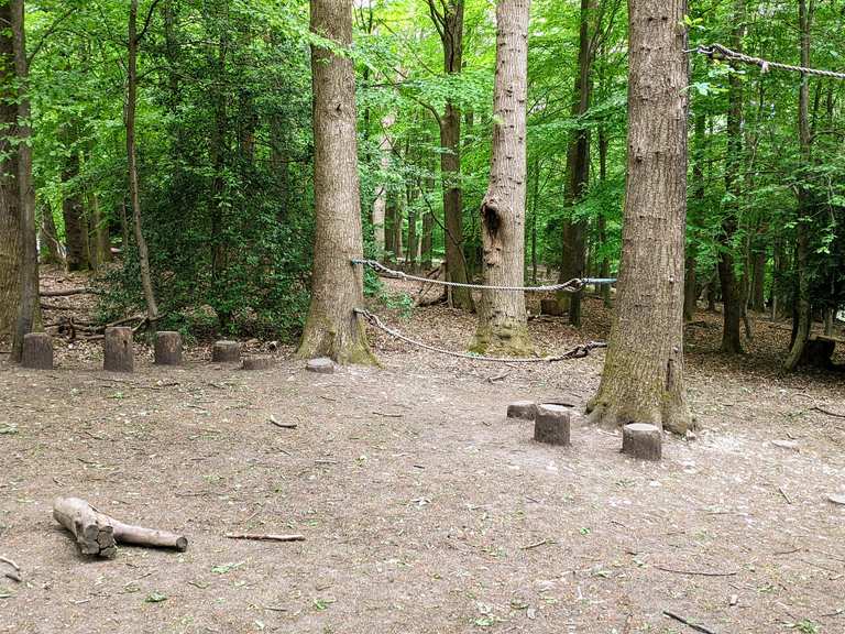 Box Hill Natural Play Trail Routes for Walking and Hiking | Komoot