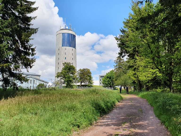 Großer Inselsberg: Wanderungen und Rundwege | komoot