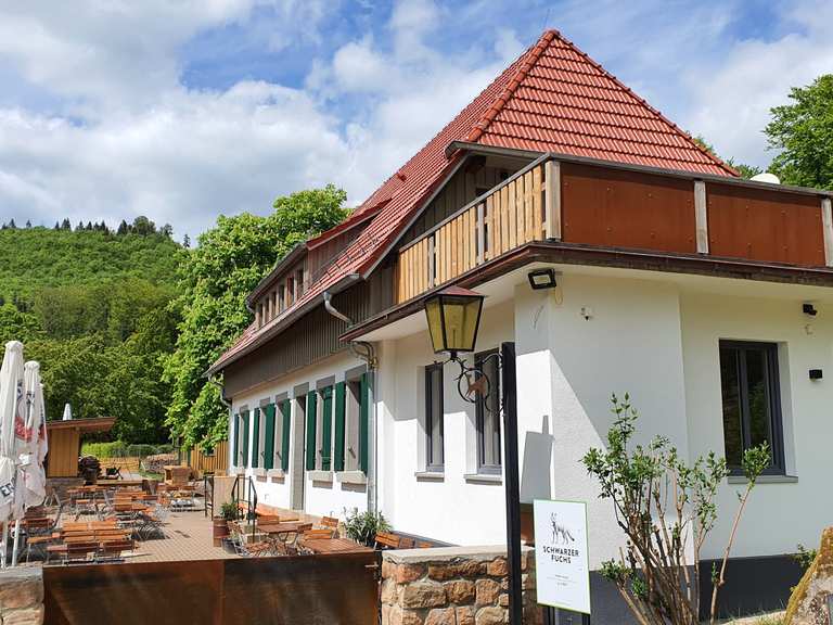 Forsthaus Annweiler/Schwarzer Fuchs Routes for Walking and Hiking | Komoot