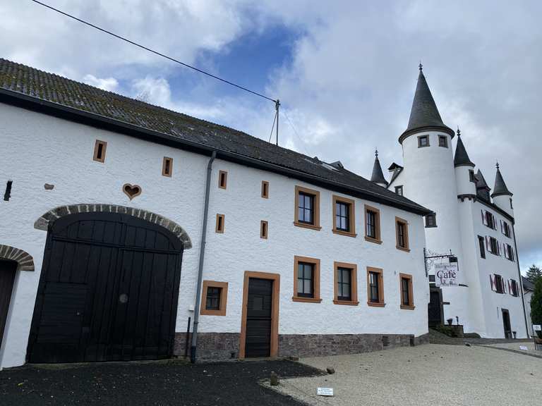 Burg Dreis in Dreis-Brück Routes for Walking and Hiking | Komoot