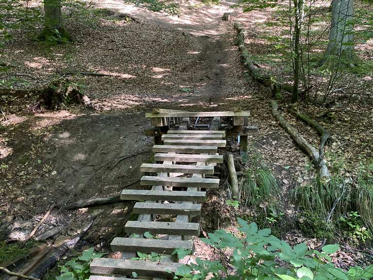 Trail-Rampe im Wald - Mountain Bike Trails & Tracks | Komoot