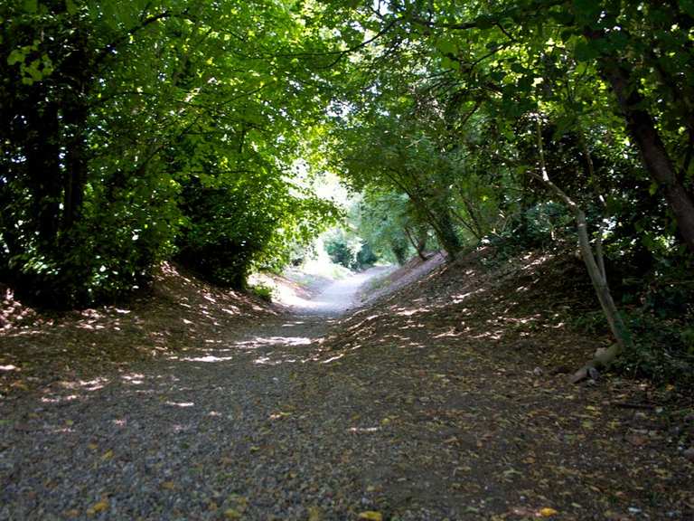 Braywick Nature Reserve - Cycle Routes and Map | Komoot