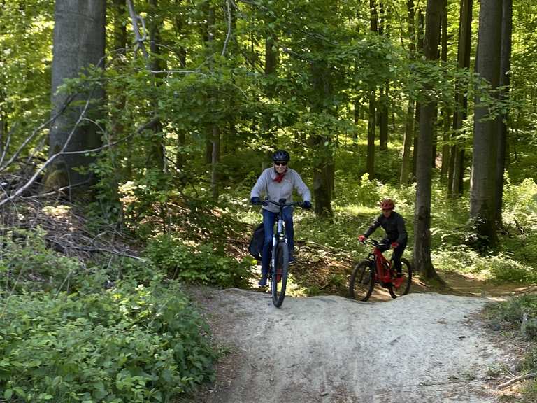 MTB Single track Mountain Bike Trails & Tracks | Komoot