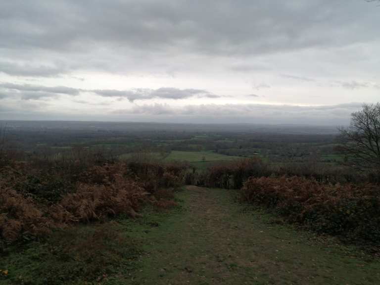 One Tree Hill Routes for Walking and Hiking | Komoot