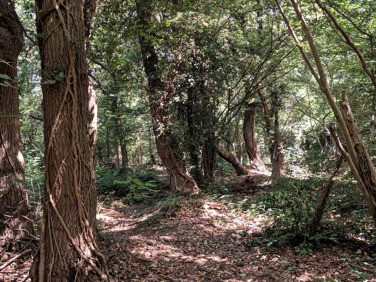 Kesselberg wandelroutes en hikes | Komoot