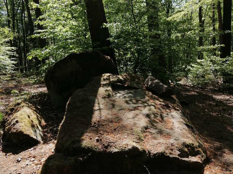 Ritterstein n° 145 Schanze du Horterkopf - Itinéraires de rando et ...