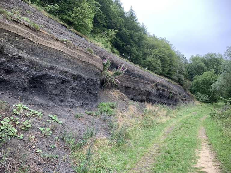 Geopark Gerolstein Routes for Walking and Hiking | Komoot