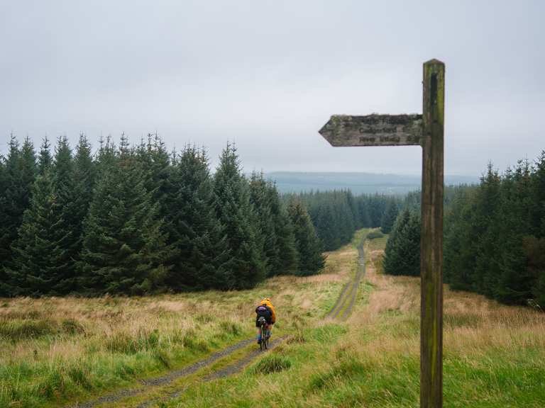 Kielder Forest - amazing gravel section - Northumberland, England ...