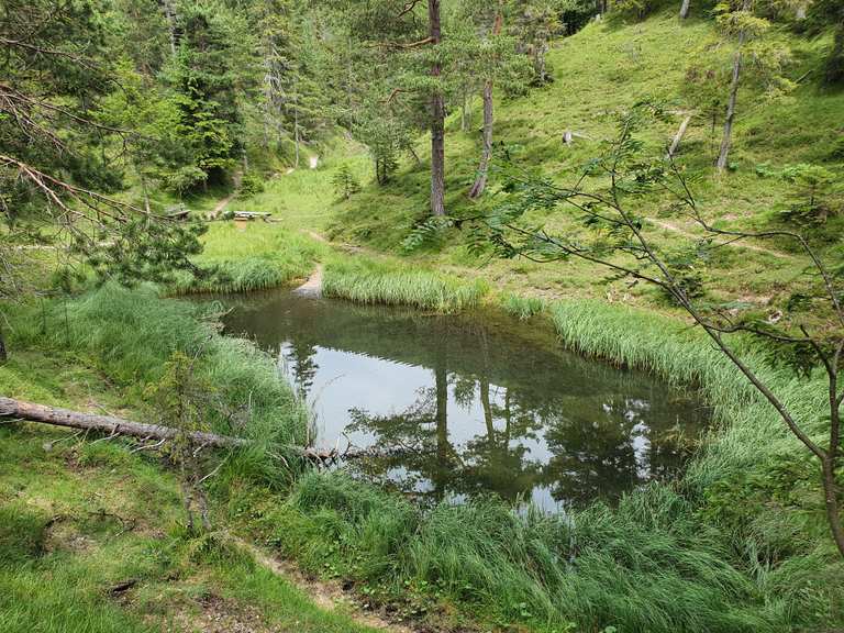 Kaiser-Maximilian-Rast - Mountain Bike Trails & Tracks | Komoot