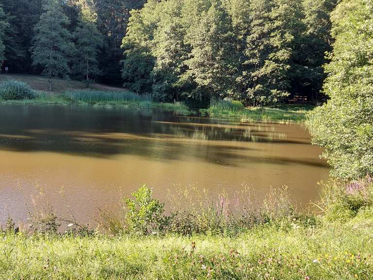 Michelsee bei Aglasterhausen-Michelbach - Cycle Routes and Map | Komoot