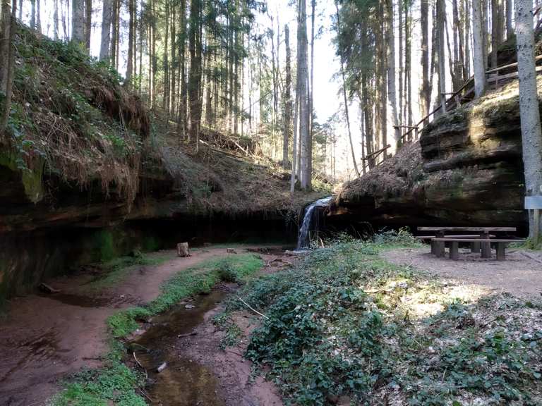 Wasserschaupfad Herschberg : Radtouren und Radwege | komoot