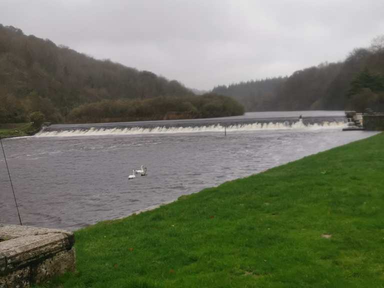 Lopwell Dam Routes for Walking and Hiking | Komoot