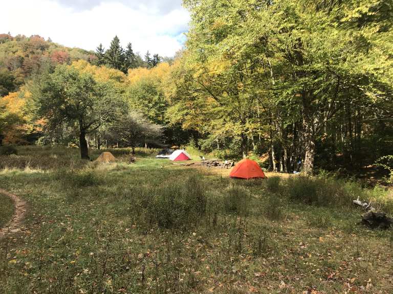 Spruce Knob & Seneca Creek Loop — Monongahela National Forest | hike ...