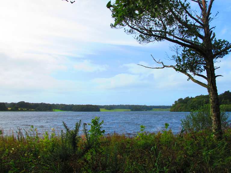 White Loch (Loch of Inch) Routes for Walking and Hiking | Komoot