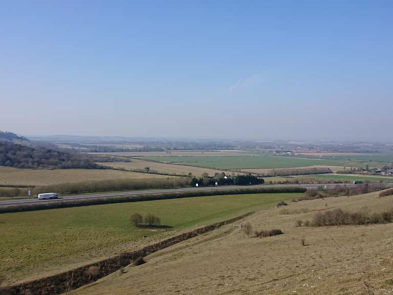 The Tiny Yellow Meadow Ant Farmers of Beacon Hill Routes for Walking ...