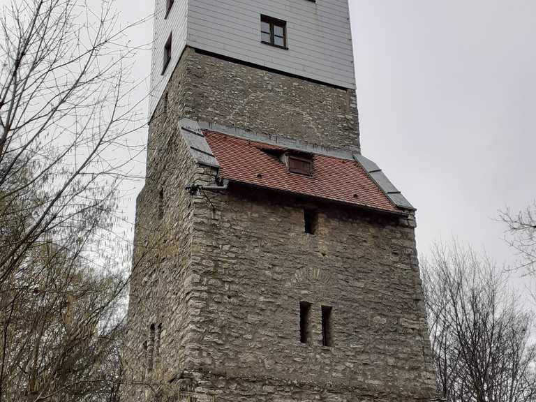 Moritzberg : Radtouren und Radwege | komoot