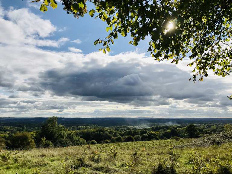 One Tree Hill Routes for Walking and Hiking | Komoot
