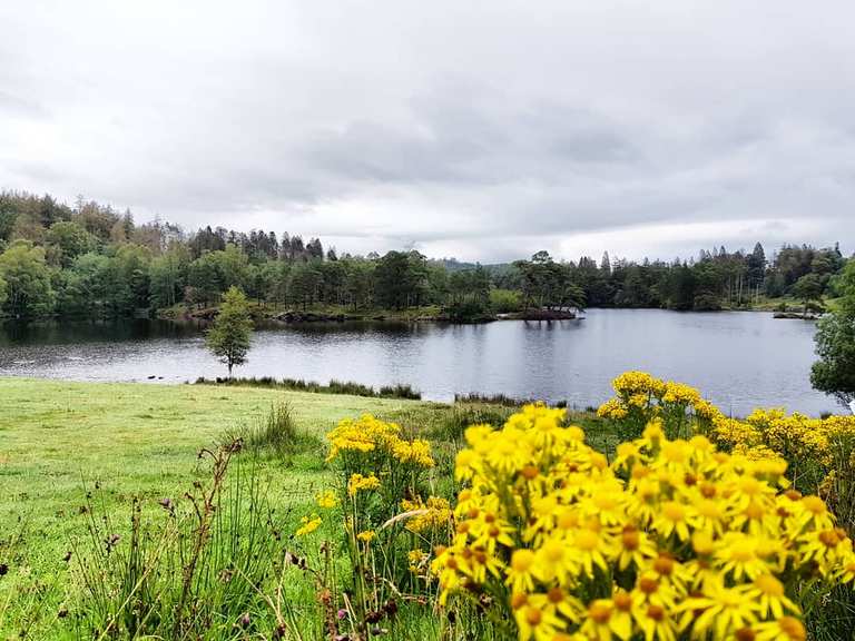 Tarn Hows, Tom Gill & Tom Heights loop — Lake District National Park ...