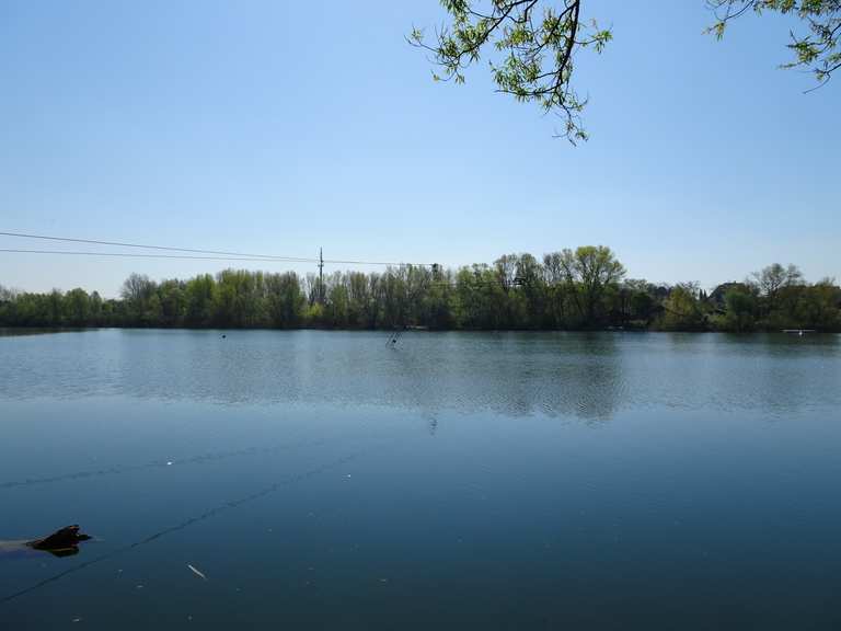 Rheinauer See, Mannheim: Radtouren und Radwege | komoot