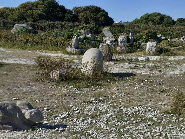 Tout Quarry Reserve & Sculpture Park Routes for Walking and Hiking | Komoot