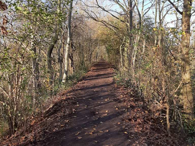 Park Rekreacyjny Blaarmeersen – trasy piesze | Komoot