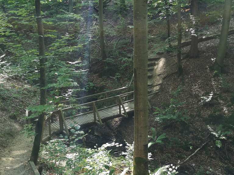 Jägerwegle - wandelroutes en hikes | Komoot