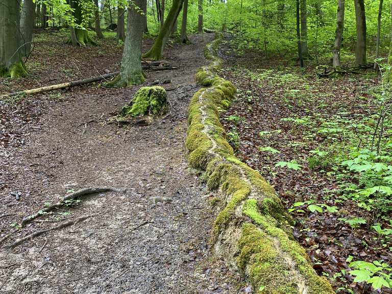 Steinerne Rinne – Hohe Metze Runde von Unterküps | Wanderung | Komoot
