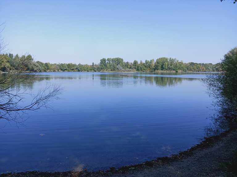 Campingplatz Lingenfeld : Radtouren und Radwege | komoot
