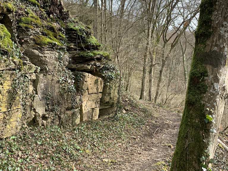 Abstieg des Manternacher Fiels – Michelslay Rondje vanuit Manternach ...